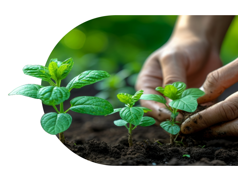 Products | BONbLOC Technologies - Agriculture